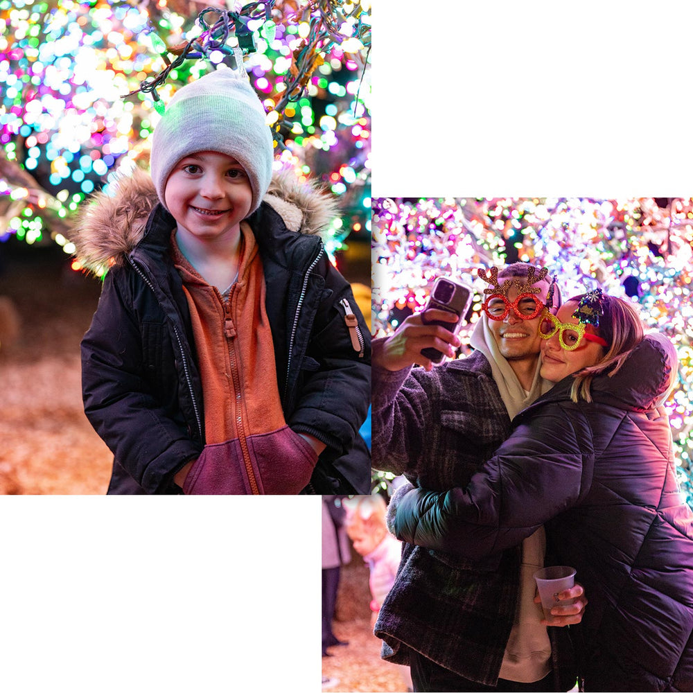 Attractions – Paragon Star