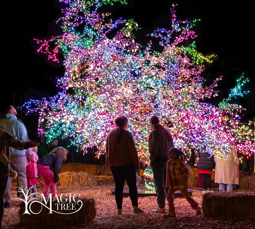 The Magic Tree – Paragon Star