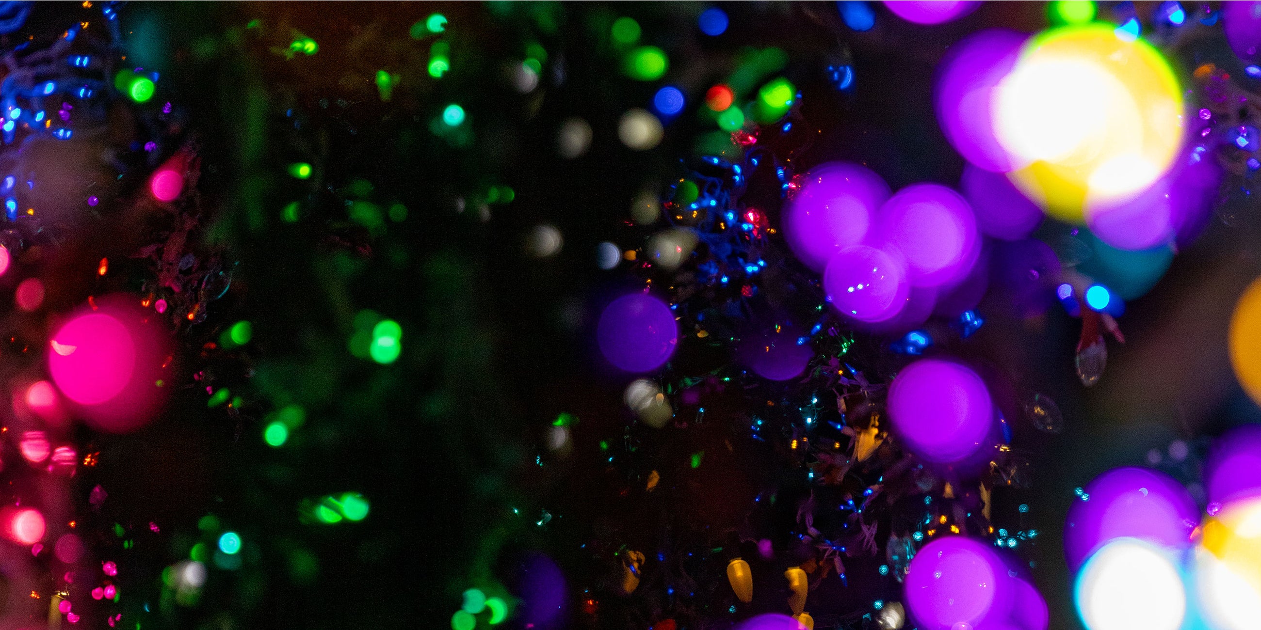 The Magic Tree – Paragon Star